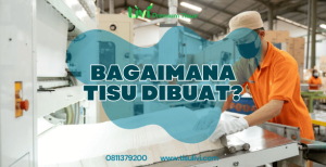 Bagaimana Tisu Dibuat? Rahasia di Balik Lembutnya Tisu