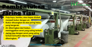 Bagaimana Tisu Dibuat? Rahasia di Balik Lembutnya Tisu
